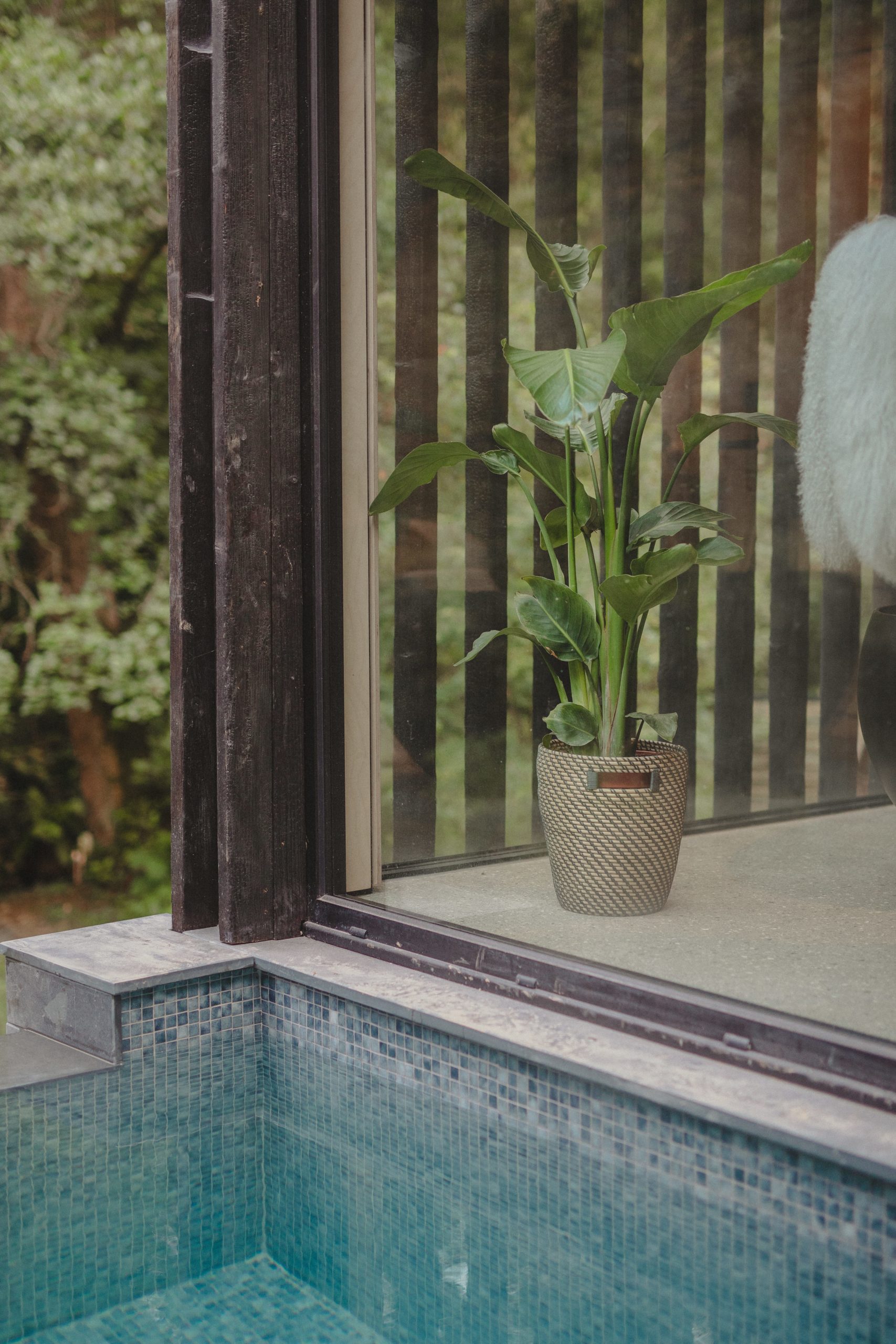 Luxury Spa Photography - Wild Wood Spa - Panoptic Motion