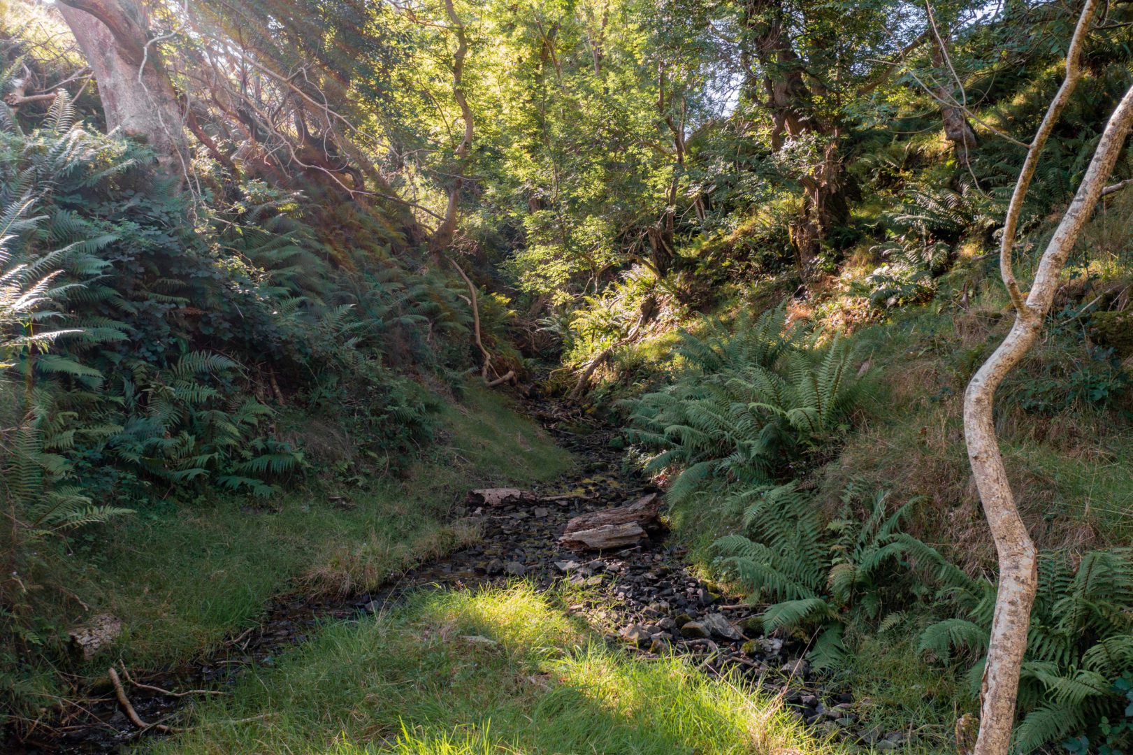 National Trust Aerial Photography - Panoptic Motion